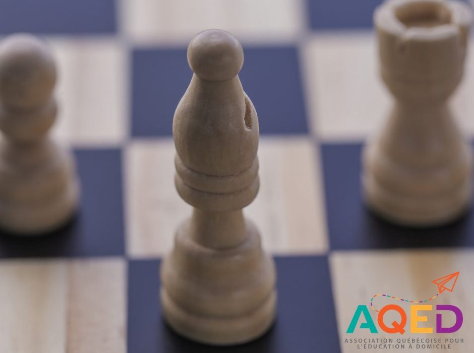 Chess Classes | Association québécoise pour l'éducation à domicile